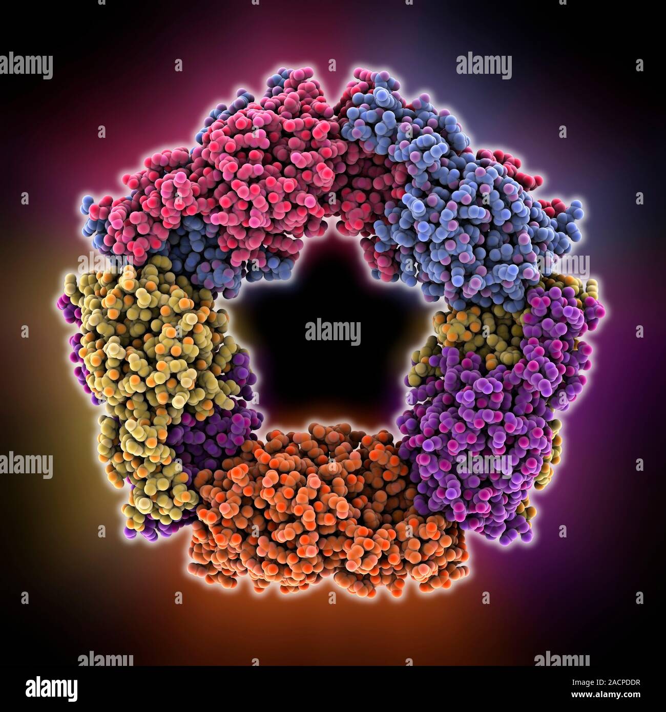 Peroxiredoxin 4 antioxidant enzyme, molecular model. This enzyme, also ...