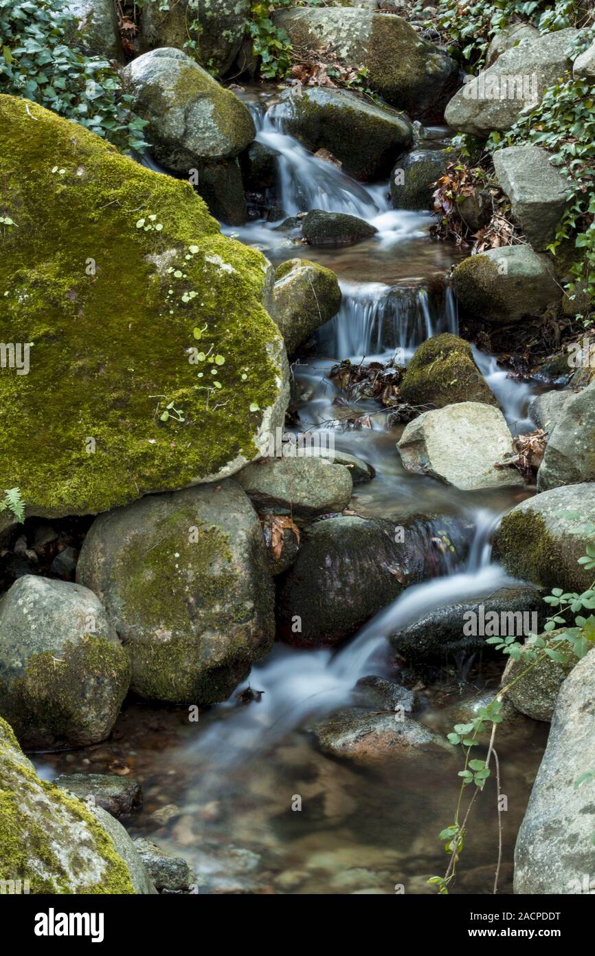Life is flowing hi-res stock photography and images - Alamy