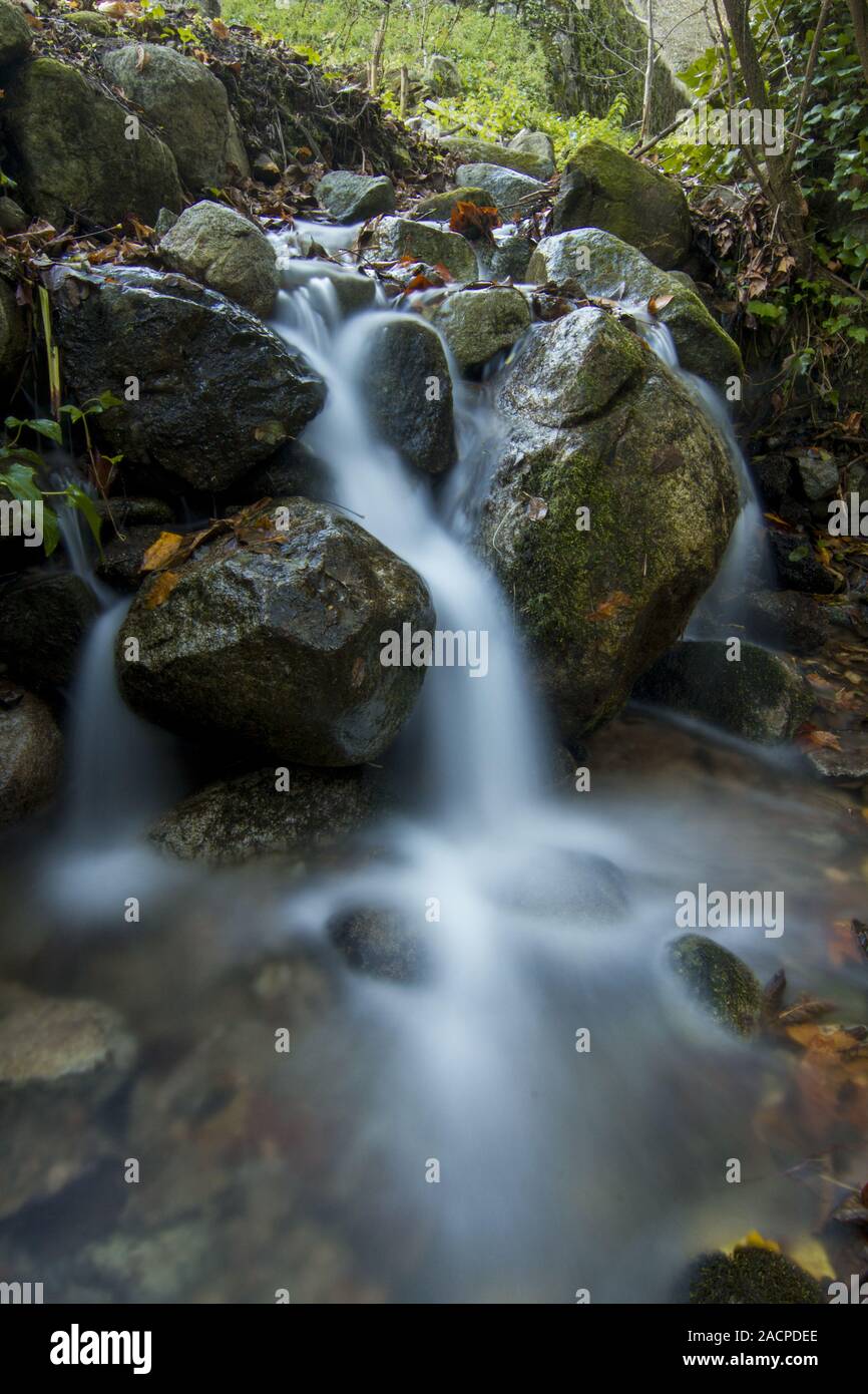 Creek life hi-res stock photography and images - Alamy