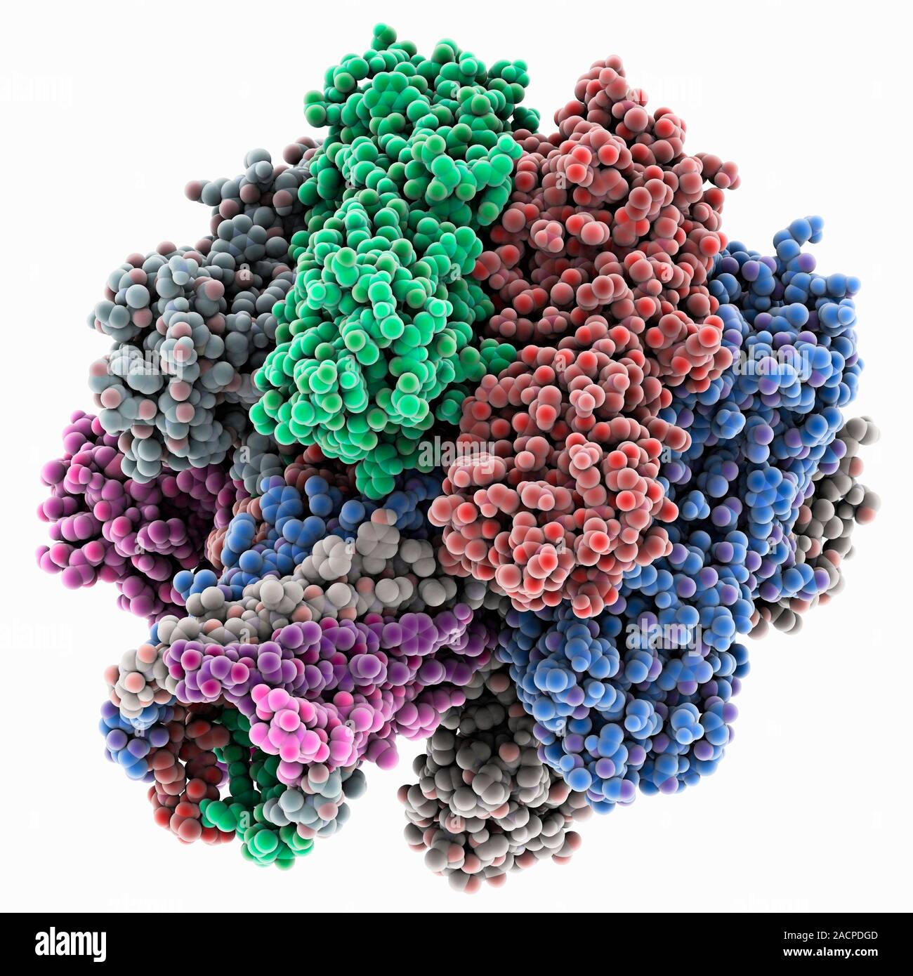 Bacterial alpha-hemolysin toxin, molecular model. This toxin is ...