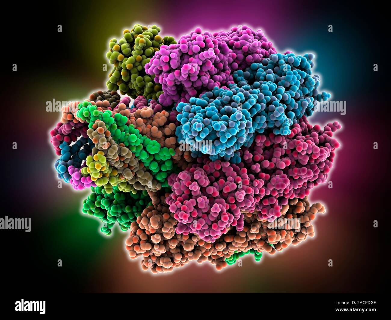 Bacterial alpha-hemolysin toxin, molecular model. This toxin is ...