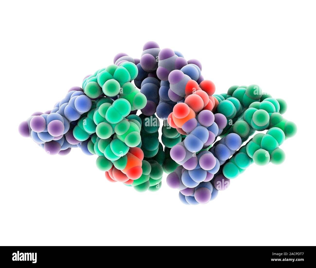 RNA silencing. Molecular model of a synthetic double stranded ...
