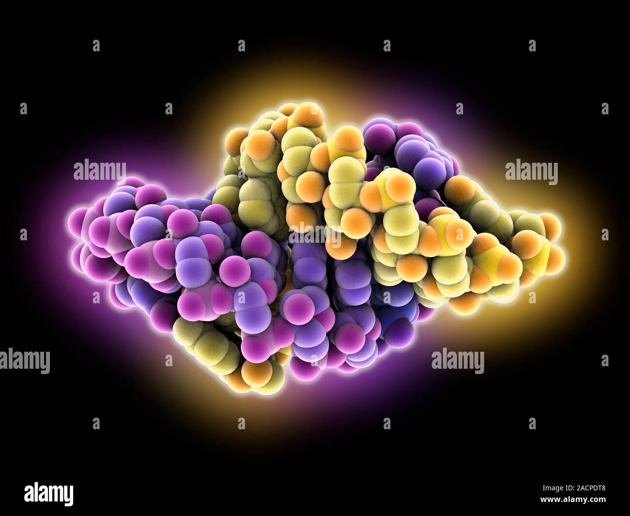 RNA silencing. Molecular model of a synthetic double stranded ...