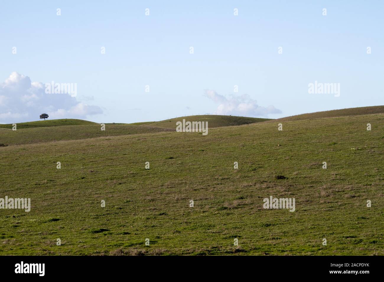 Scattered trees hi-res stock photography and images - Alamy