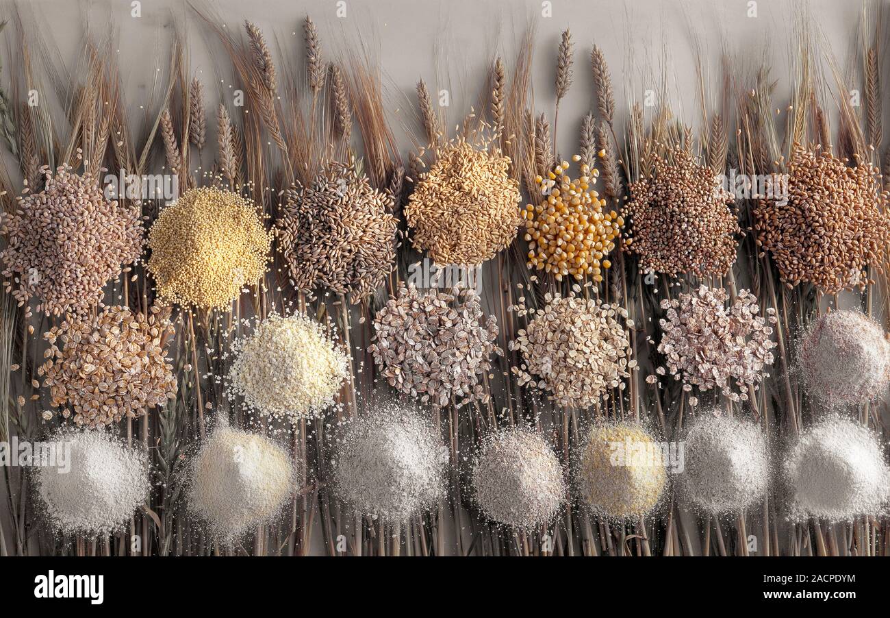Assorted grains and flour. These are, from left to right: barley ...