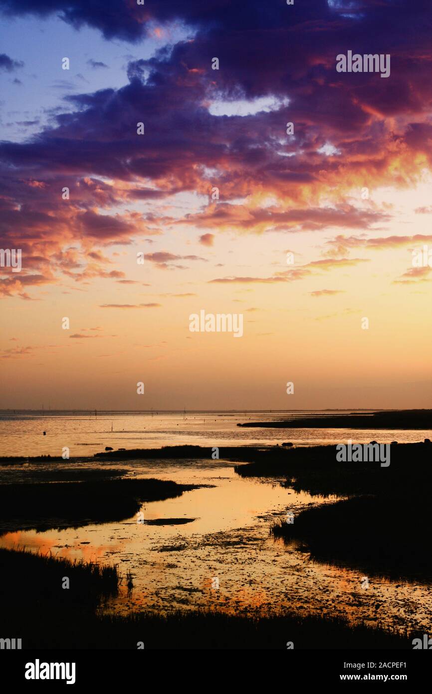 Formosa river hi-res stock photography and images - Alamy