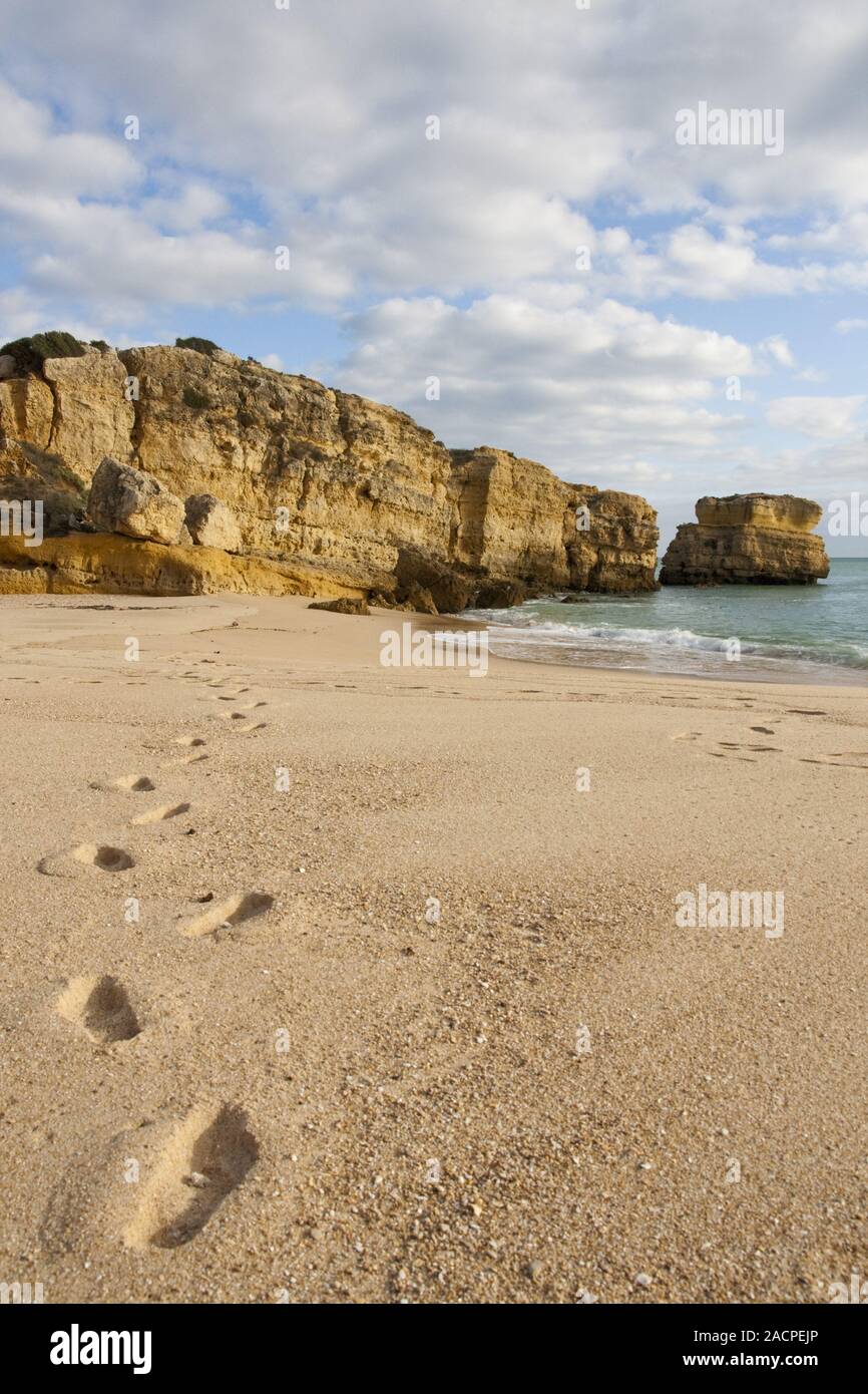 De praia hi-res stock photography and images - Alamy