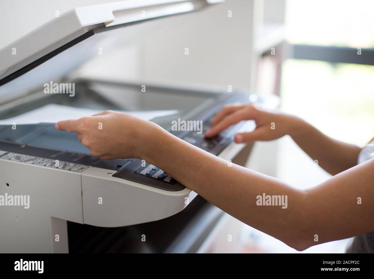 Close-up on the hands of a woman doing photocopies in the office. Woman ...