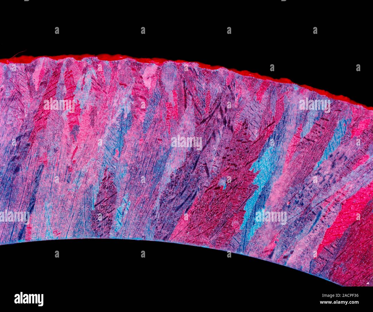 Etched columnar grain structure. Spun-cast tube section, etched to ...