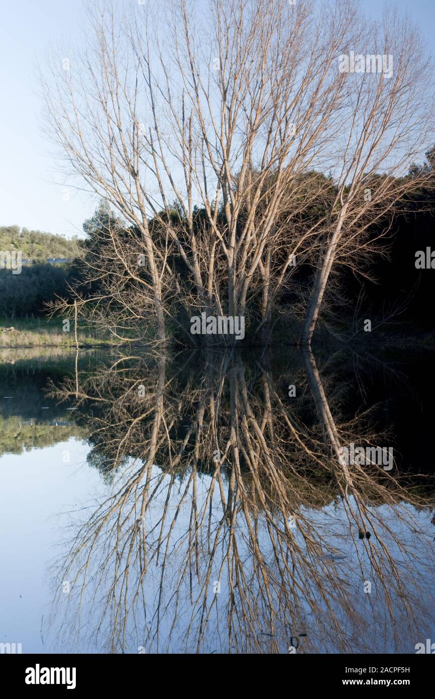Clear reflective water hi-res stock photography and images - Alamy