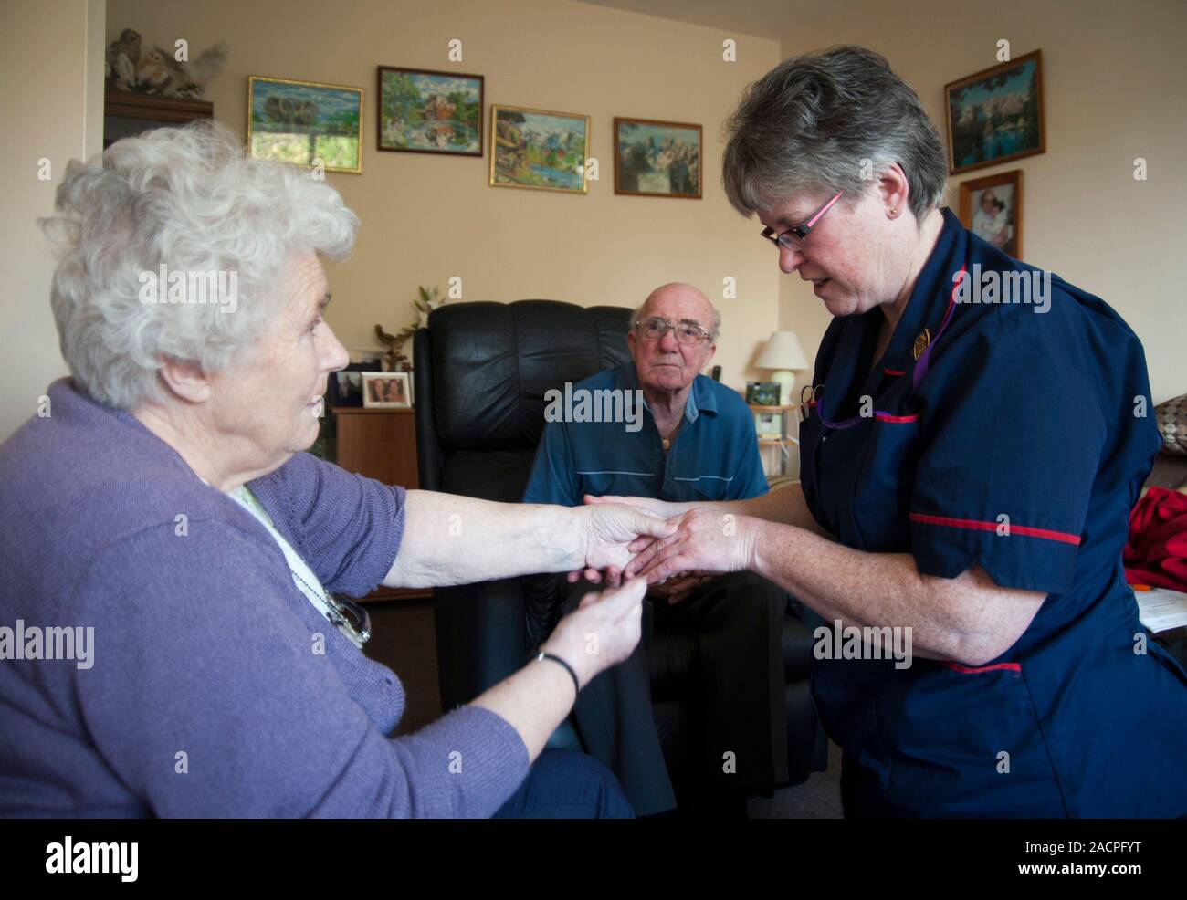 Community nursing. Advanced community nurse practitioner examining the ...