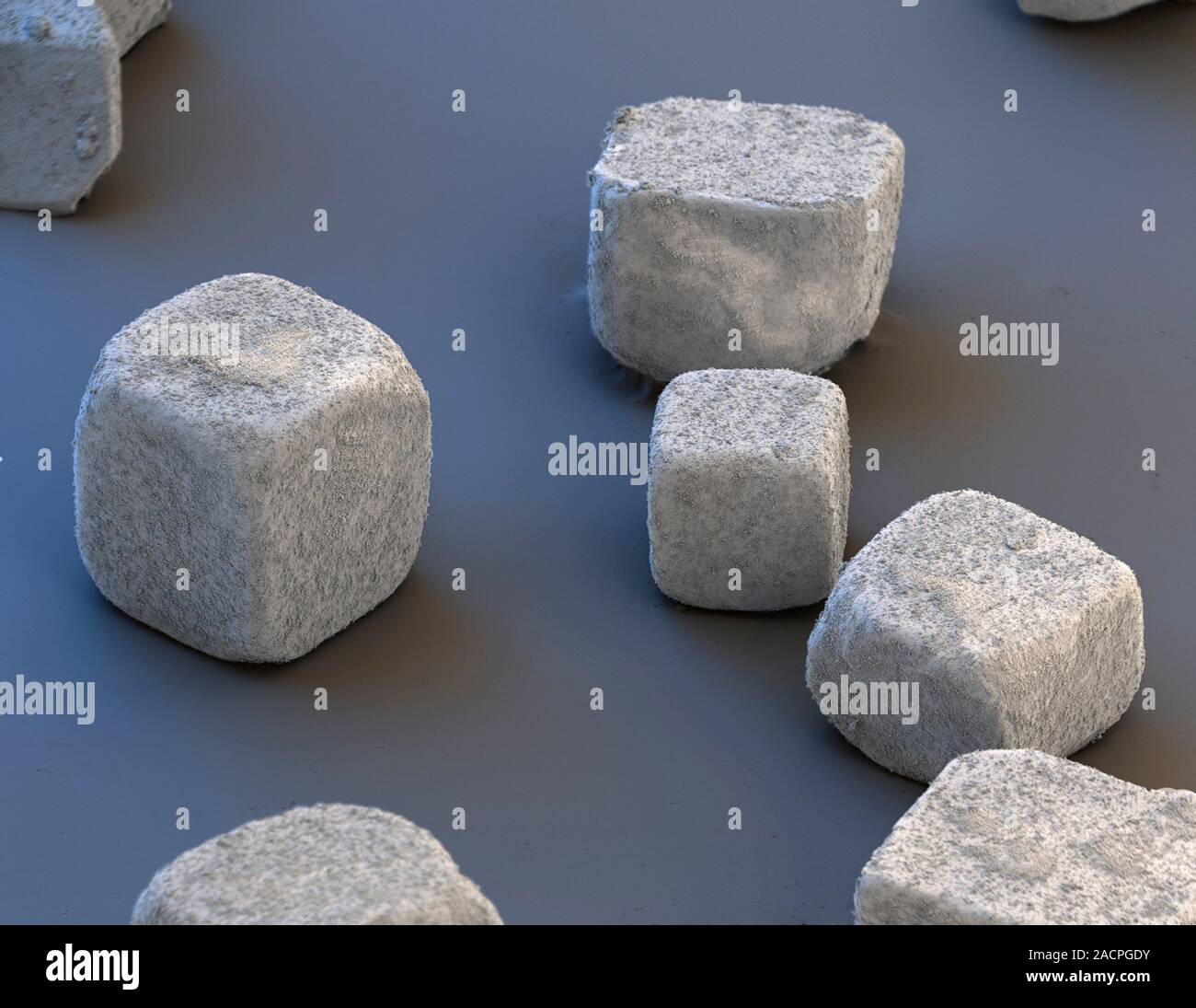 Salt crystals. Coloured scanning electron micrograph of salt (sodium ...