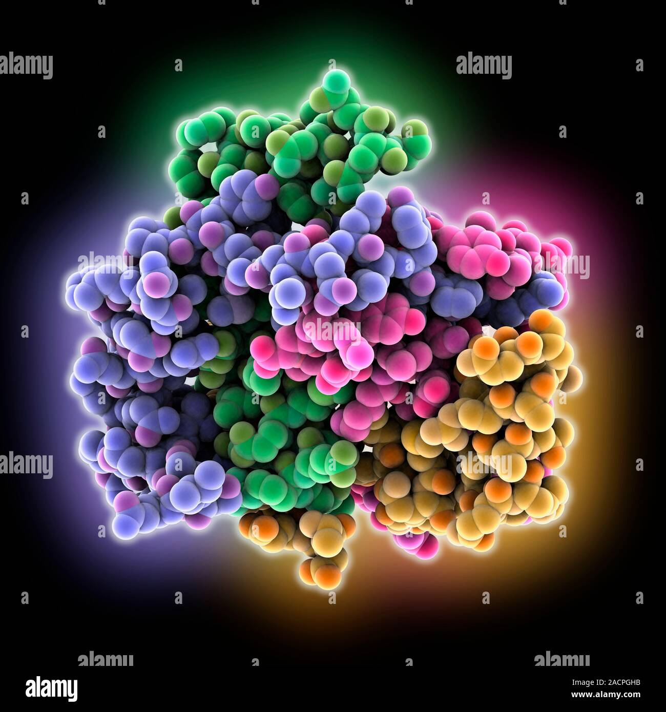 Human tumour protein p63. Molecular model of the tetramerization domain ...