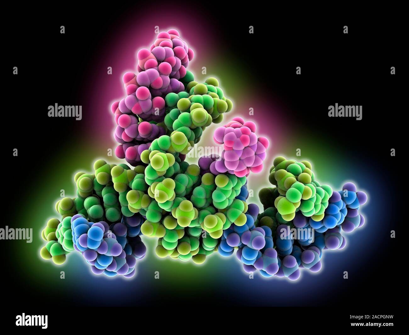 Ribozyme enzyme and RNA, molecular model. Ribozymes are RNA ...