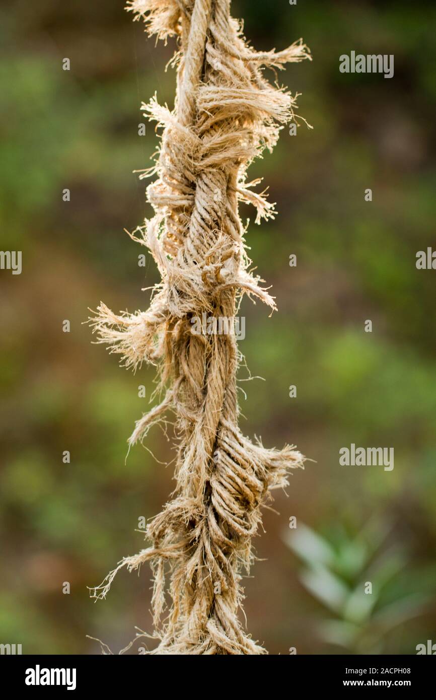 Rope tension hi-res stock photography and images - Alamy