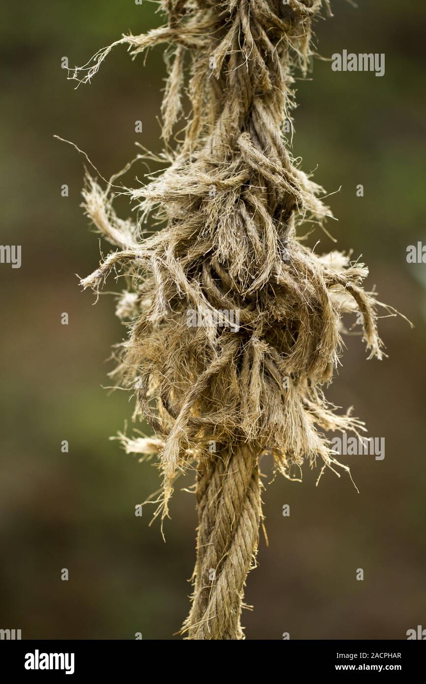 Rip cord hi-res stock photography and images - Alamy