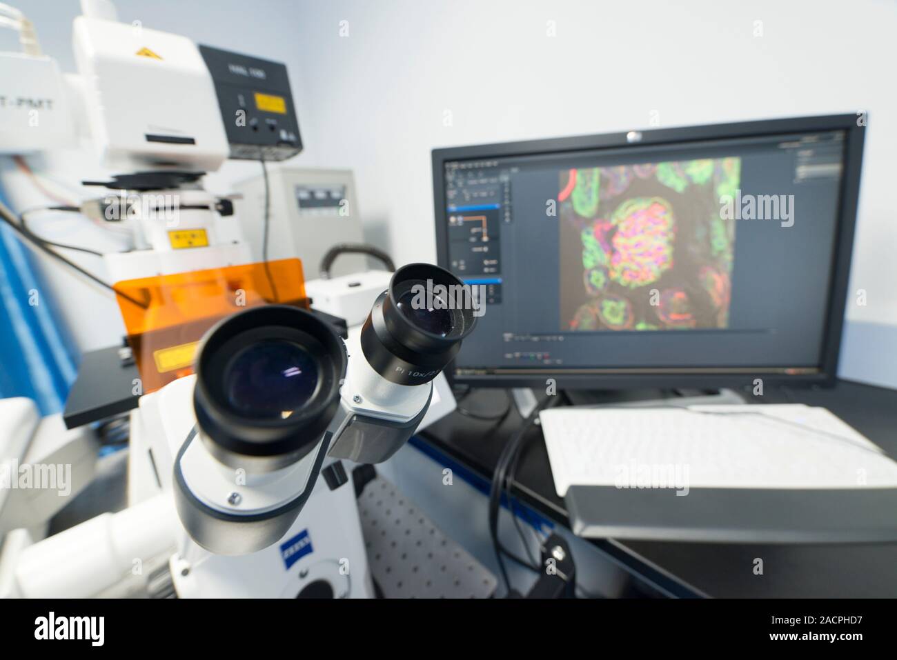 Confocal microscopy. Laser scanning confocal microscope in a laboratory ...