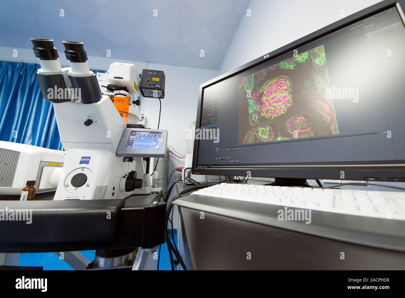 Confocal microscopy. Laser scanning confocal microscope in a laboratory ...