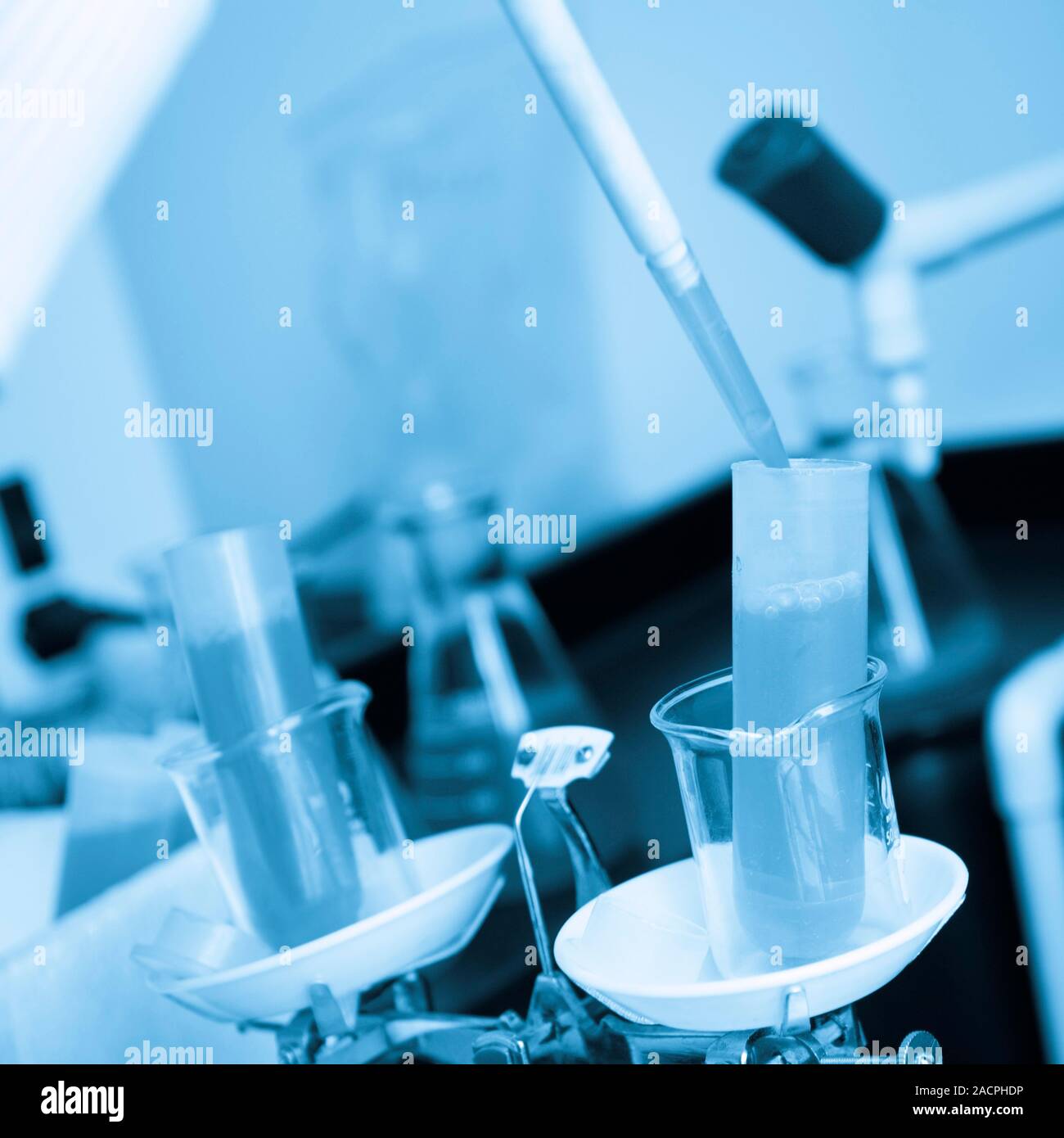 Biomedical laboratory. Samples being weighed on a mechanical balance ...