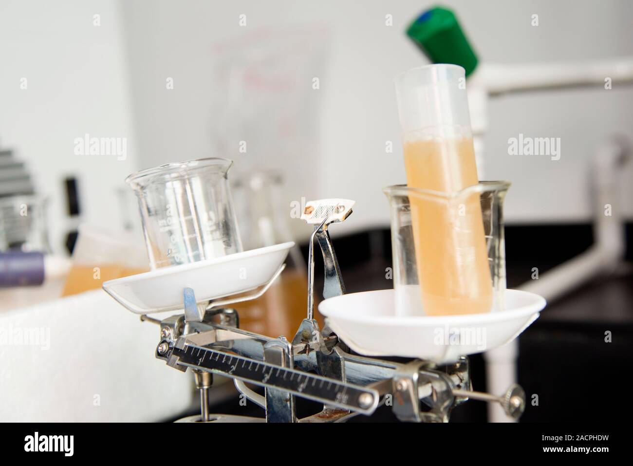 Biomedical laboratory. Samples being weighed on a mechanical balance ...