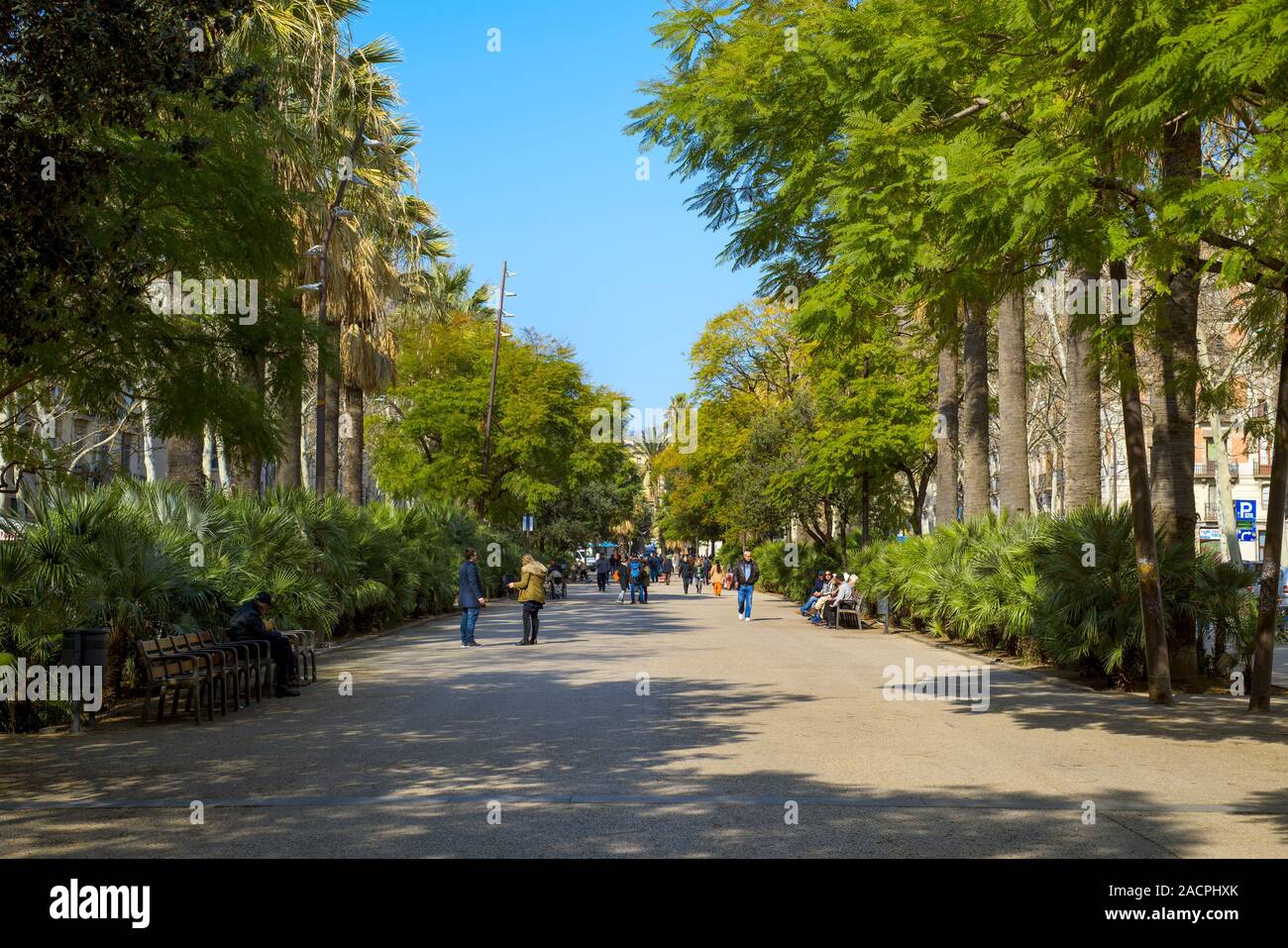 Barrio chino el raval barcelona hi-res stock photography and images - Alamy