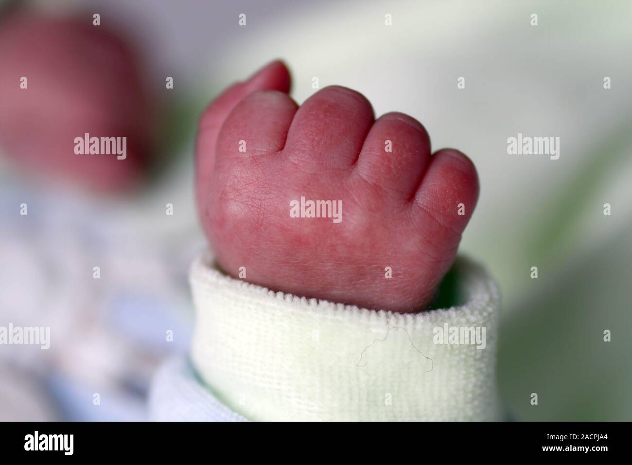 Your gentle little hand hi-res stock photography and images - Alamy