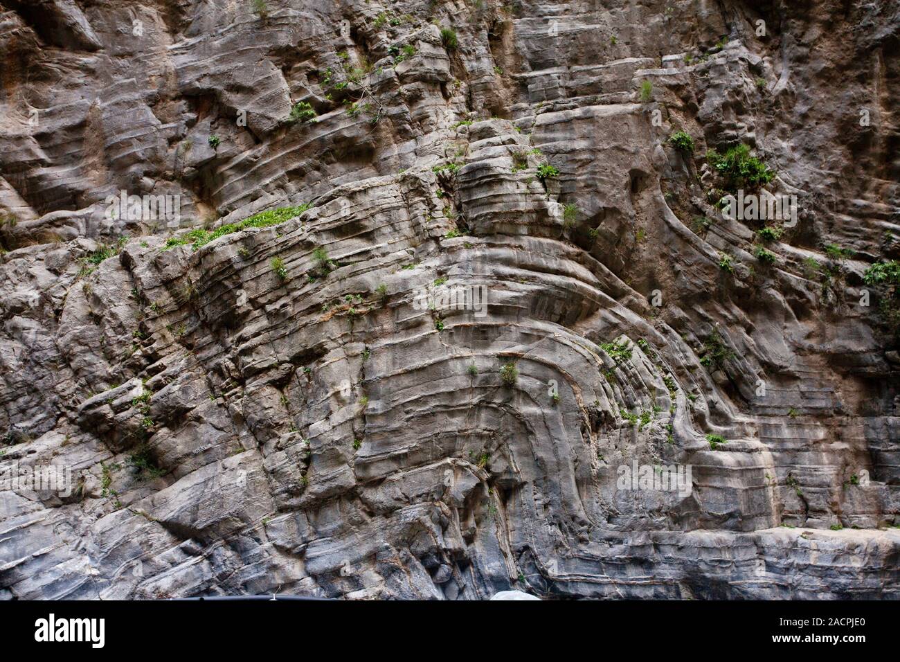 High limestone cliffs in the Samaria Gorge in National Park, White ...