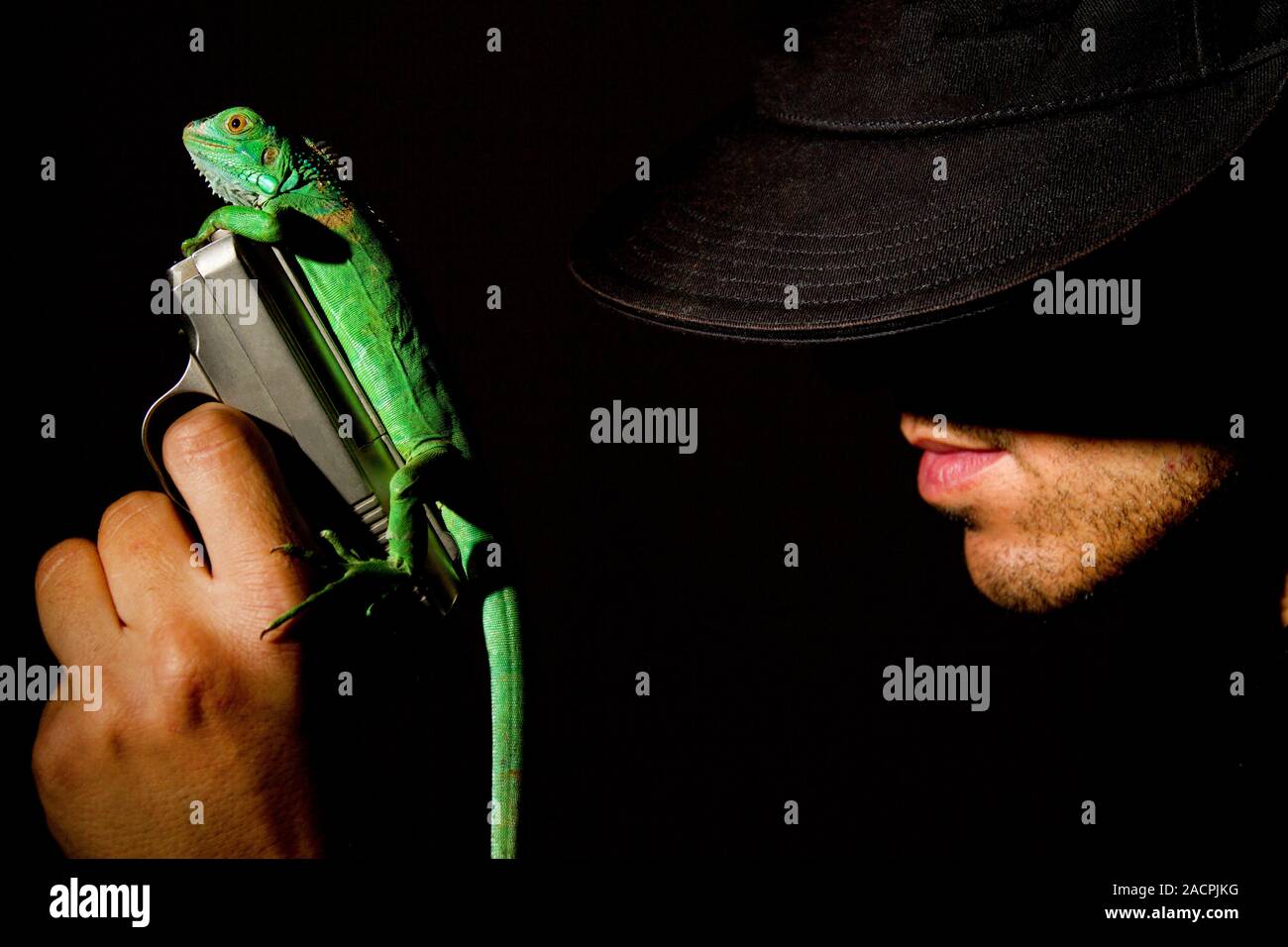 iguana and man Stock Photo - Alamy