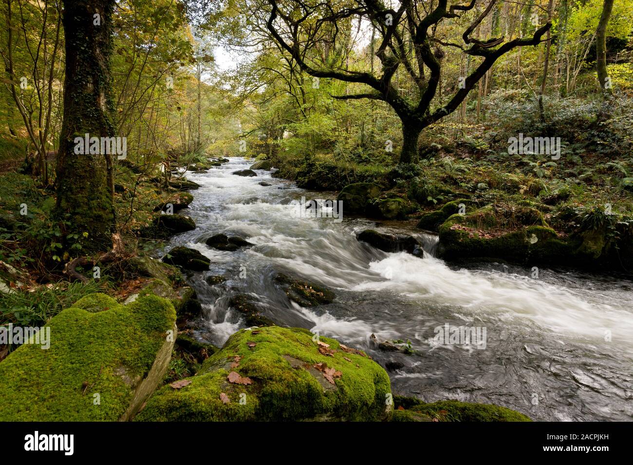 Rapids on the River West Lyn at Brendon, Exmoor National Park, Devon ...