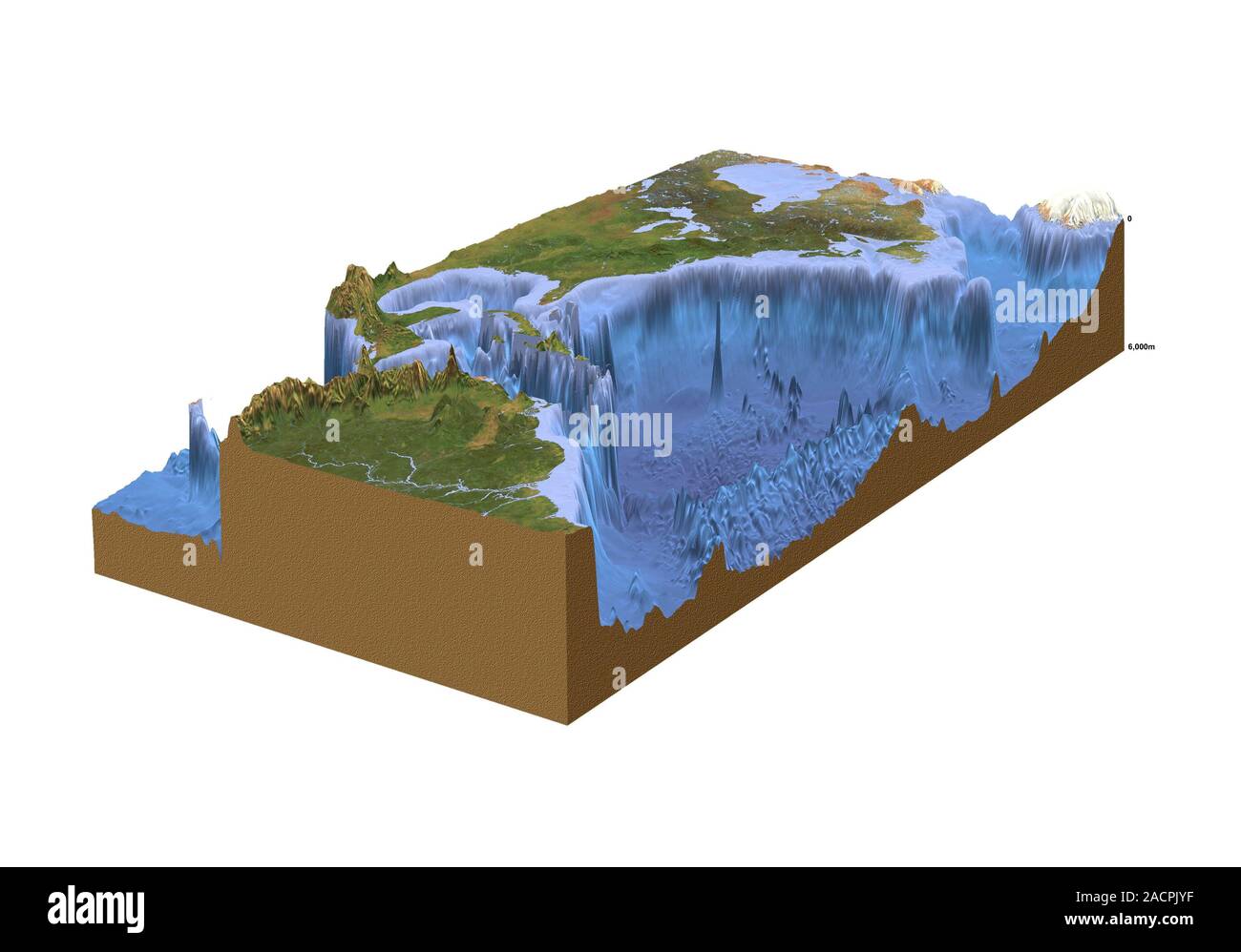 Abyssal Plain Diagram