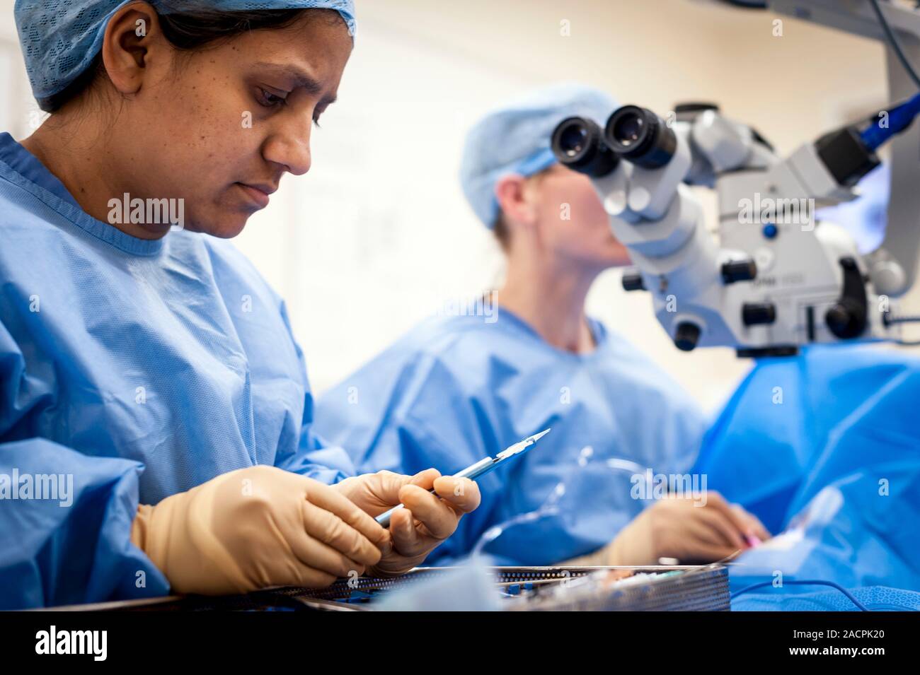 Cataract eye surgery. Surgeons carrying out an operation to remove a ...