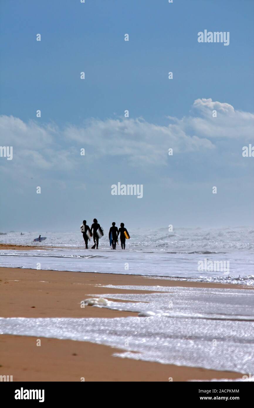 Group of surfers Stock Photo - Alamy