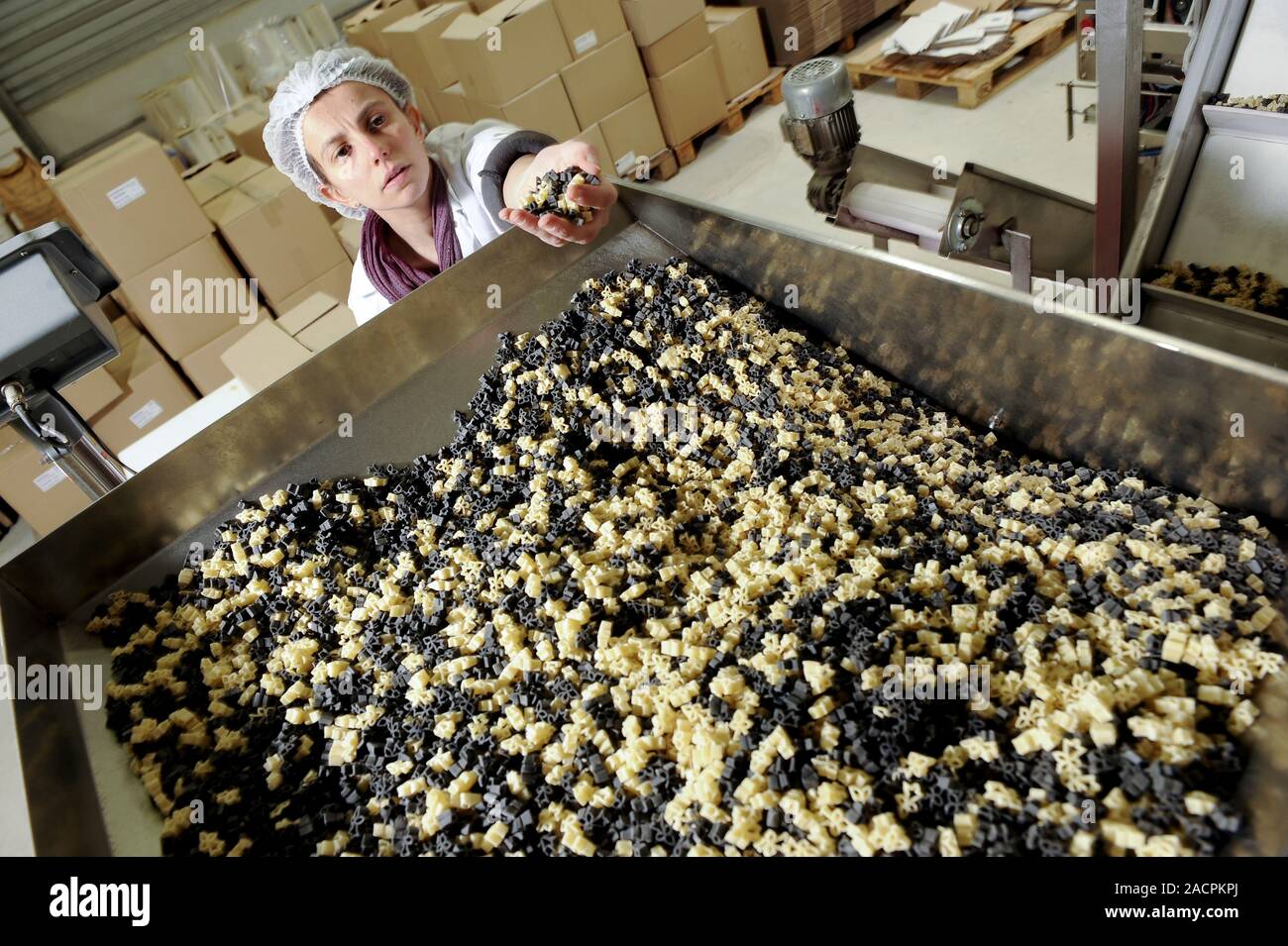 Manufacture of algae-based food products. Factory worker with pasta ...