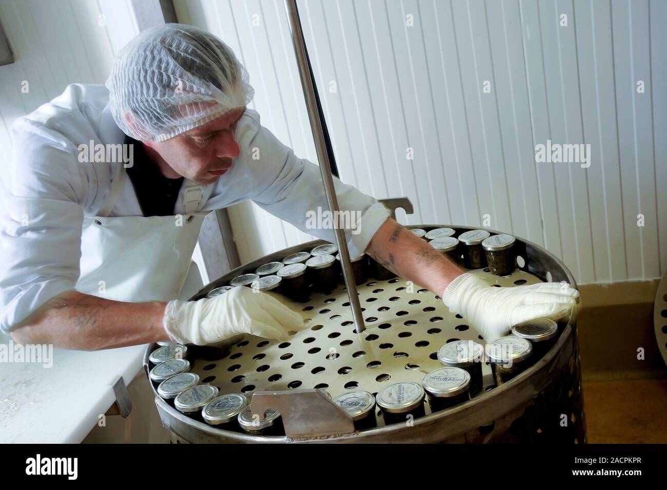 Manufacture of algae-based food products. Man working at a factory that ...
