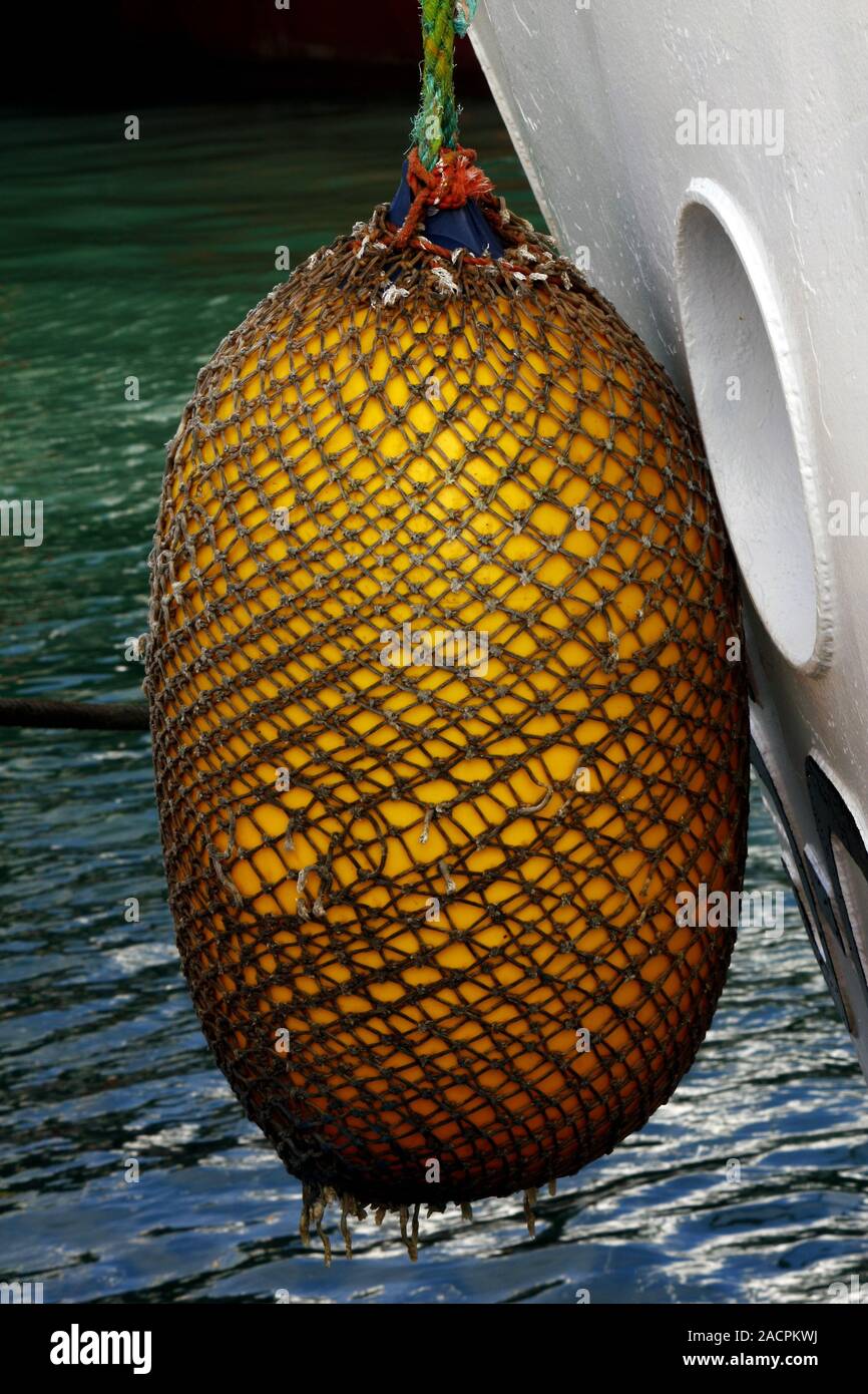 Water floater hi-res stock photography and images - Alamy