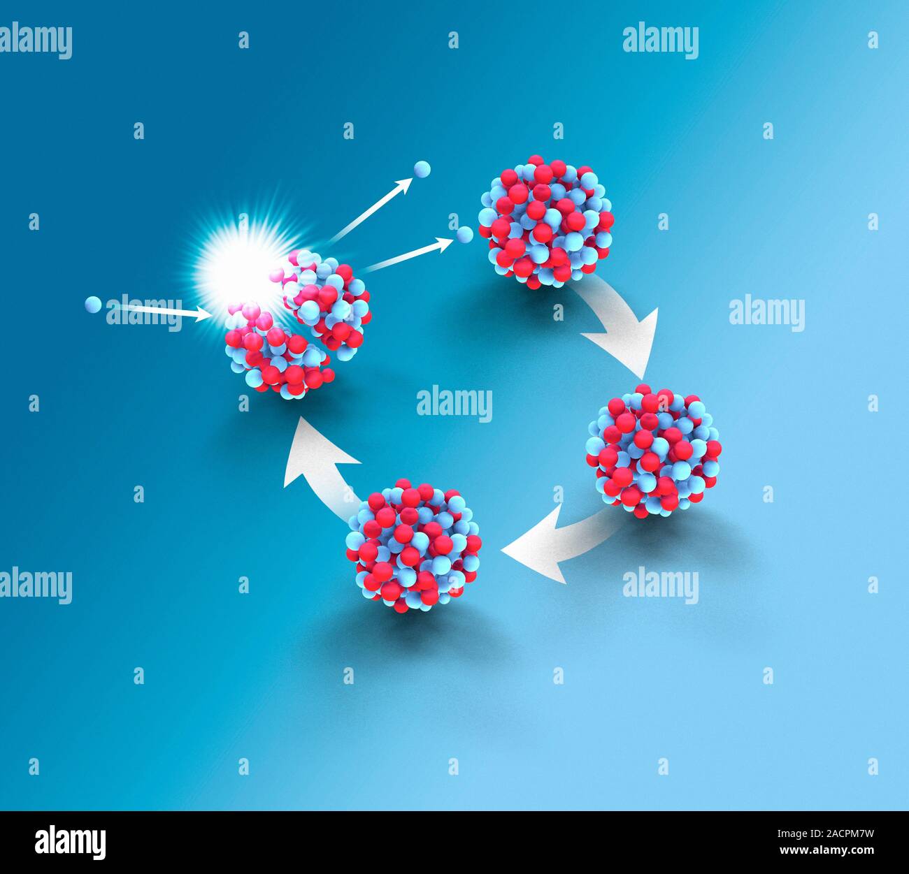 Thorium cycle. Computer artwork showing the nuclear fuel cycle that ...