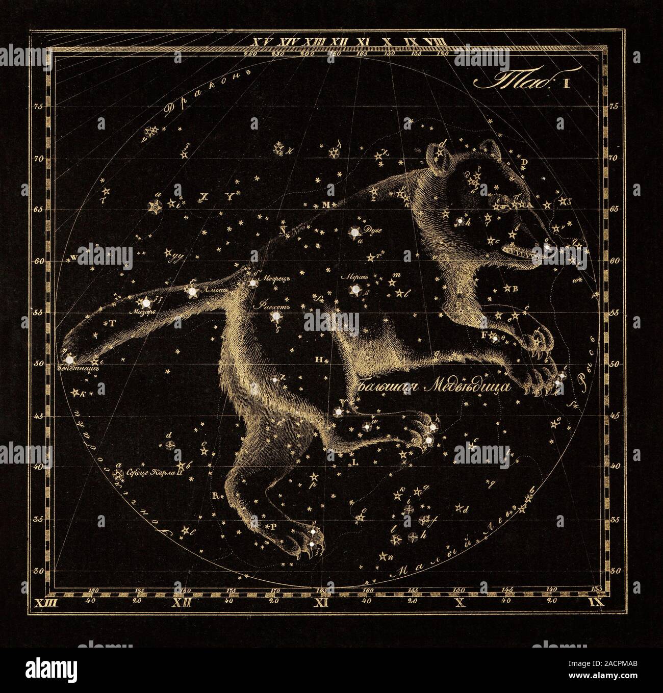 Ursa Major constellation. 19th-century map of stars and constellations ...