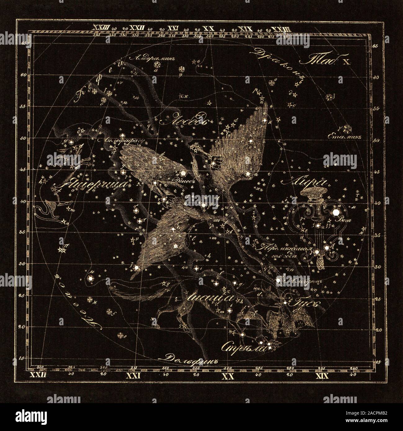 Cygnus constellations. 19th-century map of stars and constellations ...