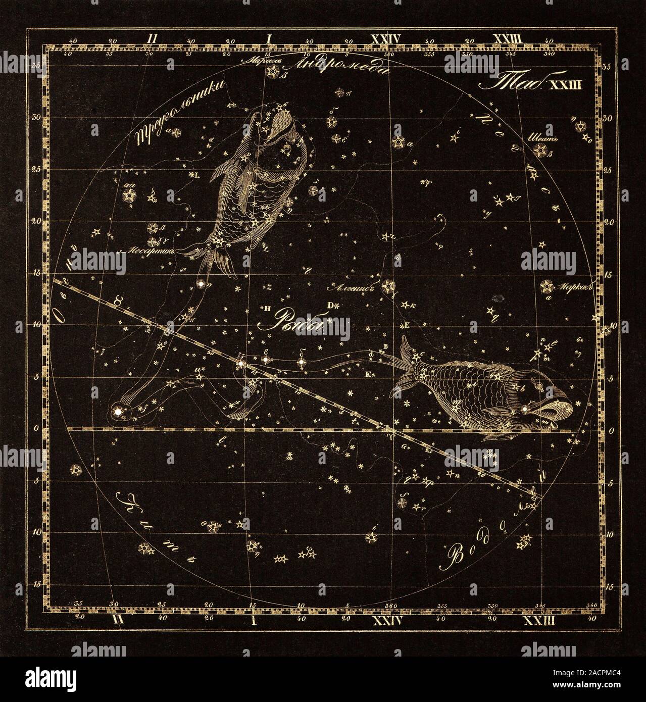 Pisces constellation. 19th-century map of stars and constellations from ...
