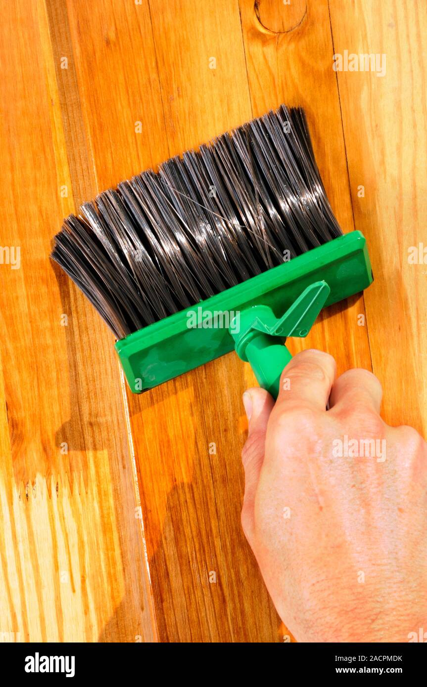 Painting creosote on a fence. Creosote is a wood preservative derived ...