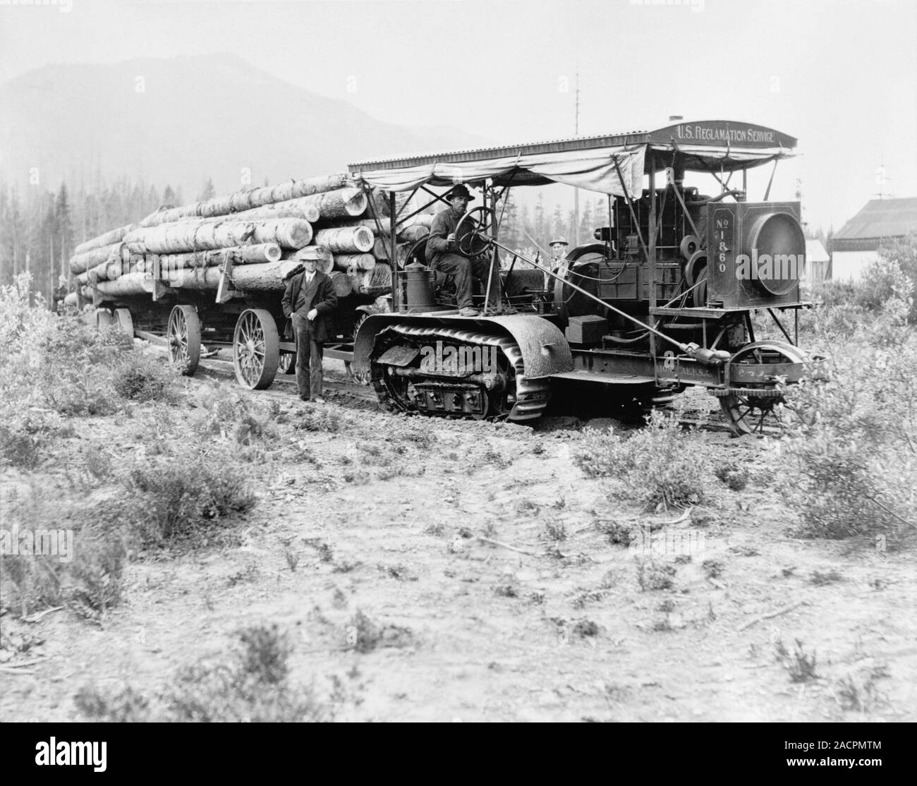Logging with tracked tractor. Foresters using a tractor with ...