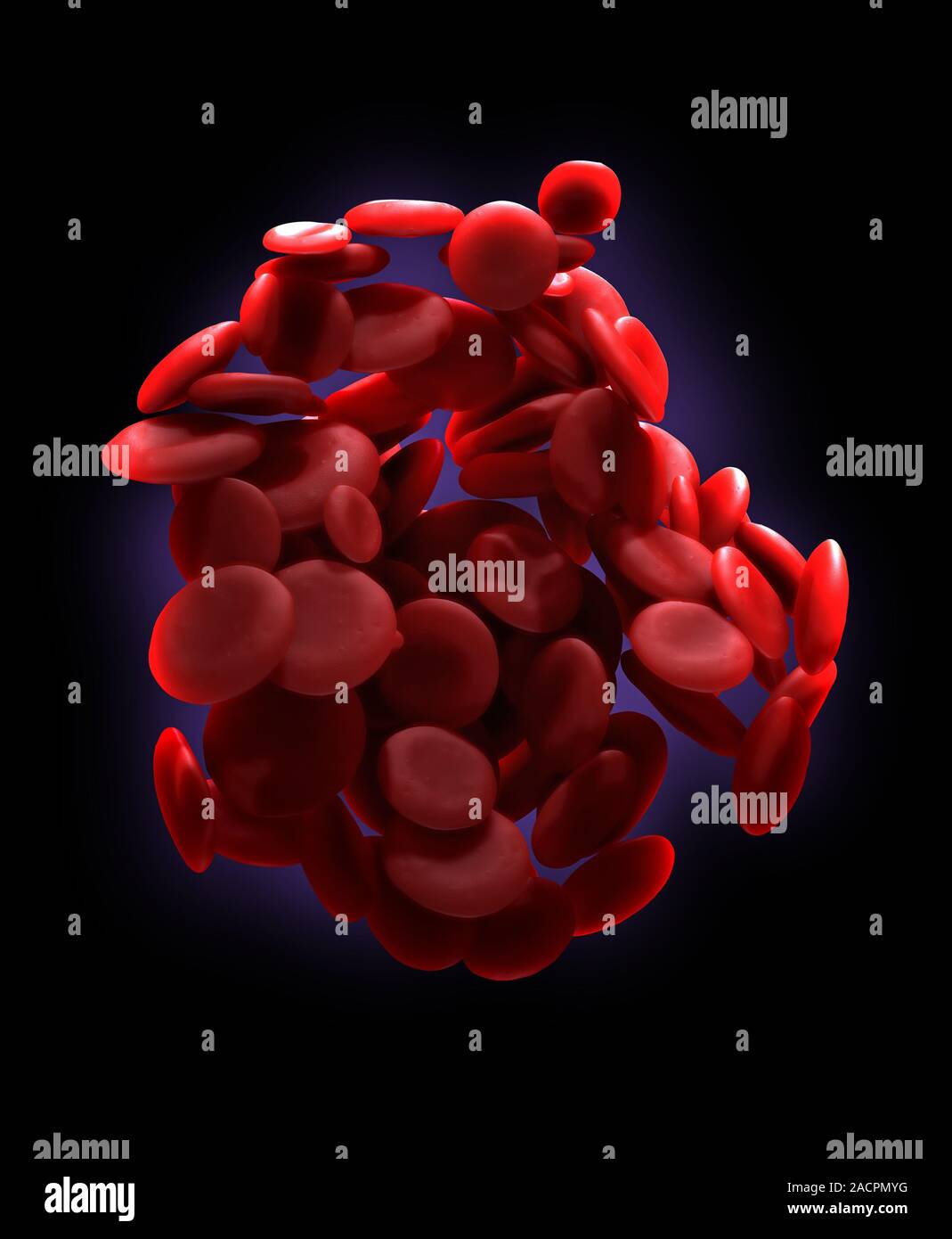 Red blood cells, computer artwork. Red blood cells are biconcave ...