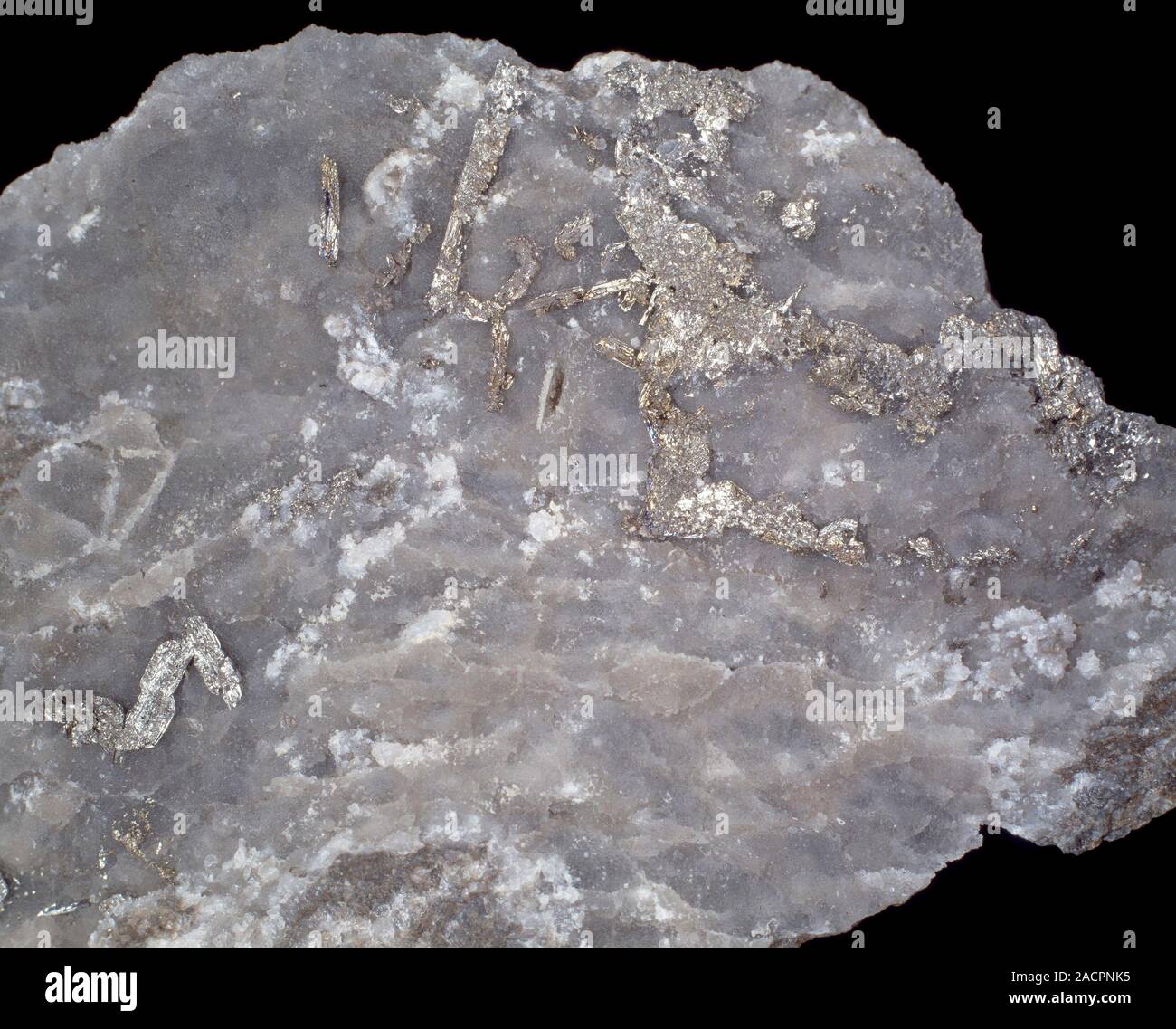 Tellurium native metal specimen. Tellurium (Te) is a rare elemental ...
