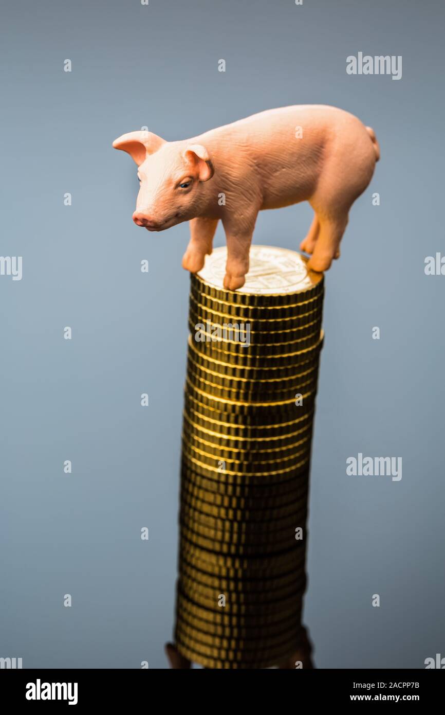 Pork on a stack of coins Stock Photo - Alamy