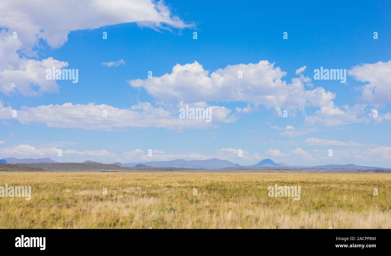 Rural Grassland Farming Area of the Karoo Semi-desert in South Africa ...