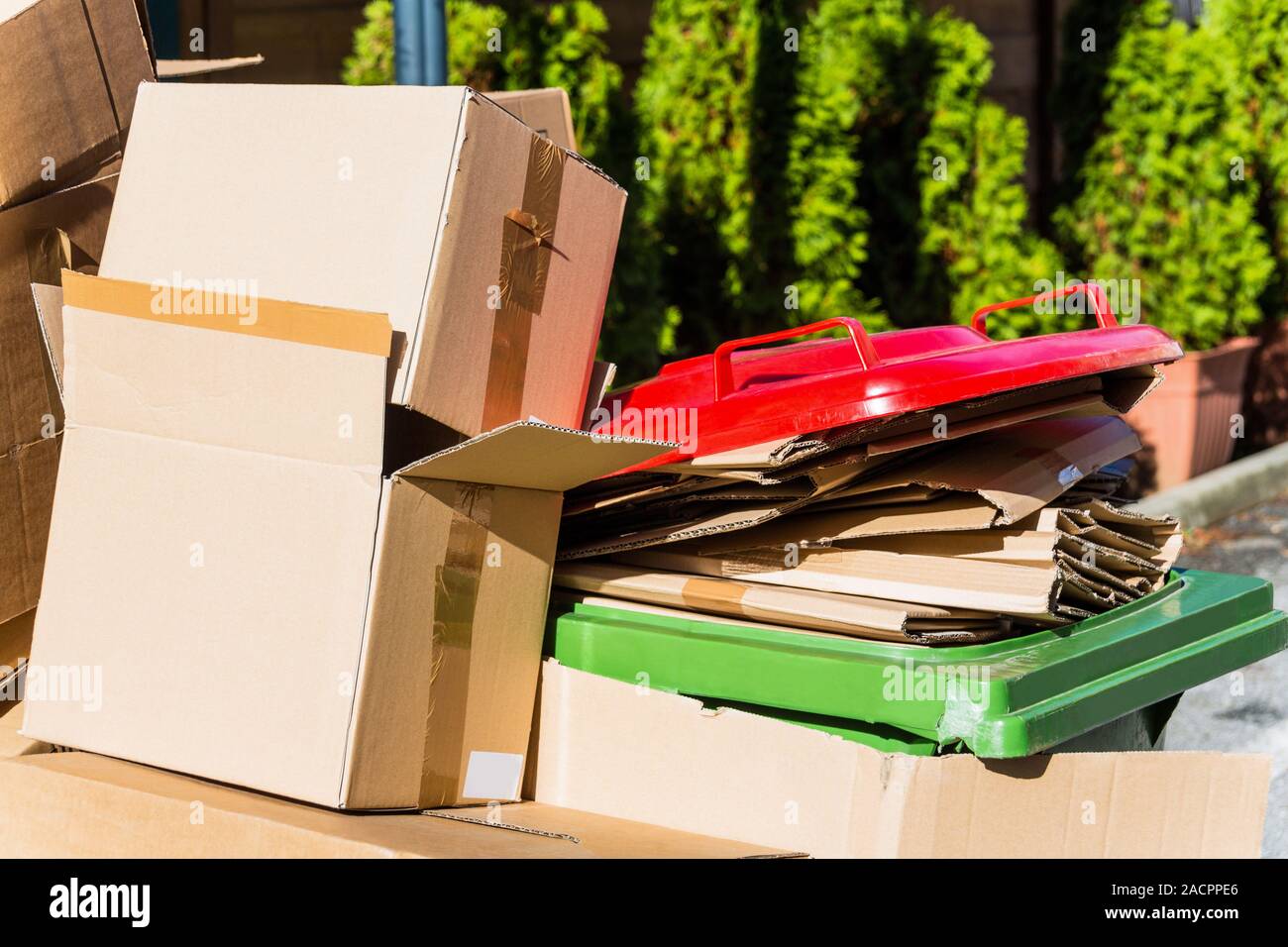 Waste paper from cardboard boxes Stock Photo - Alamy
