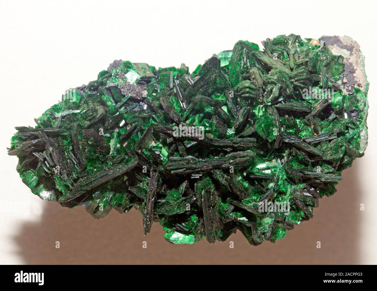 Metatorbernite mineral. This radioactive mineral is a dehydrated ...