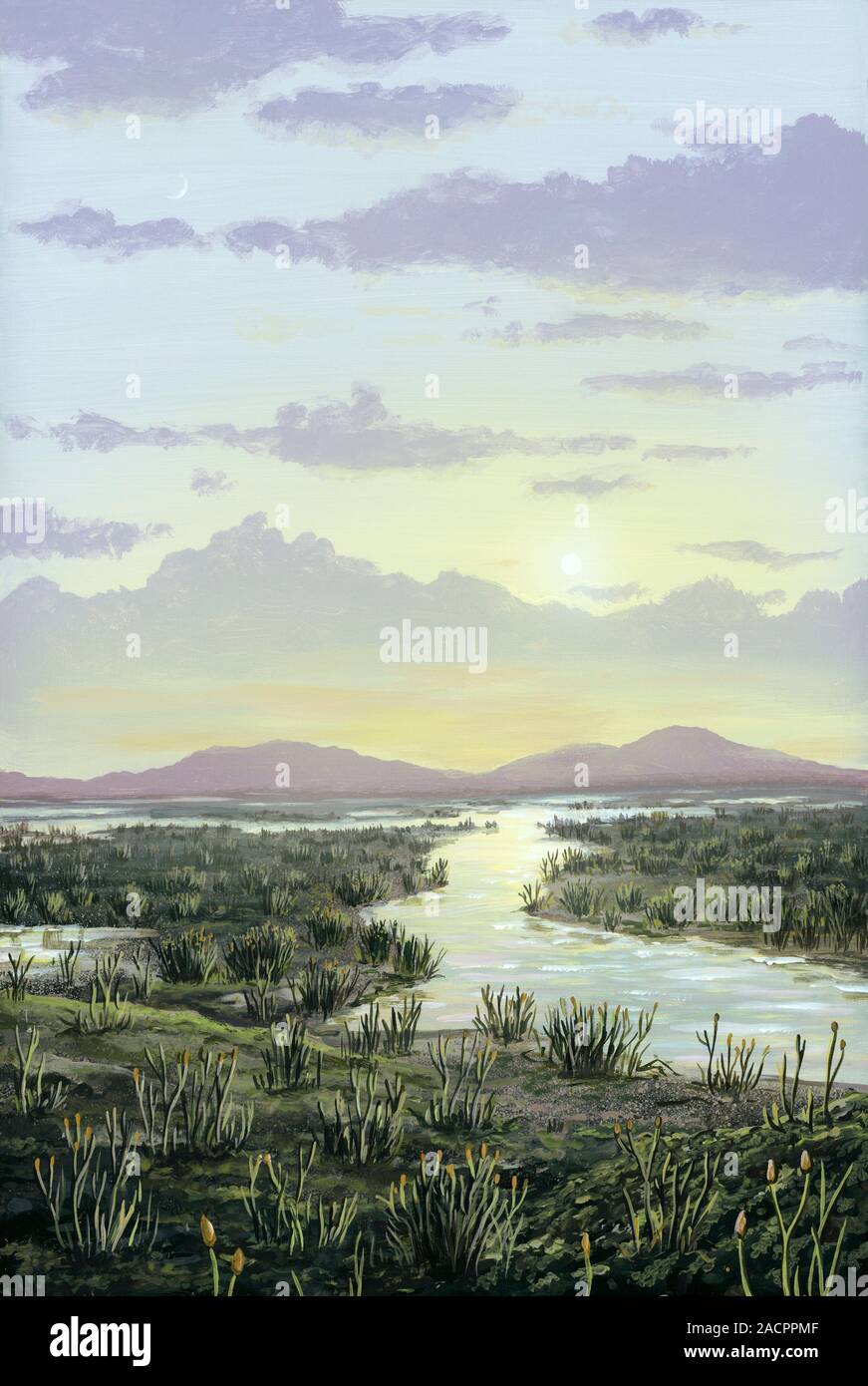 Early Devonian landscape. Artwork of early vascular plants growing on ...