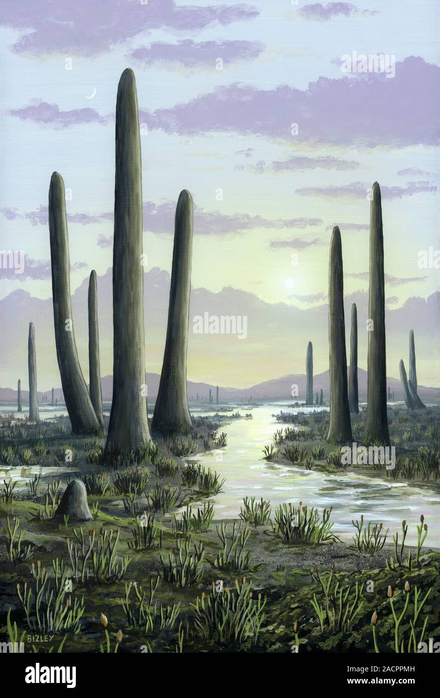 Early Devonian landscape. Artwork of early vascular plants (Rhynia) and ...