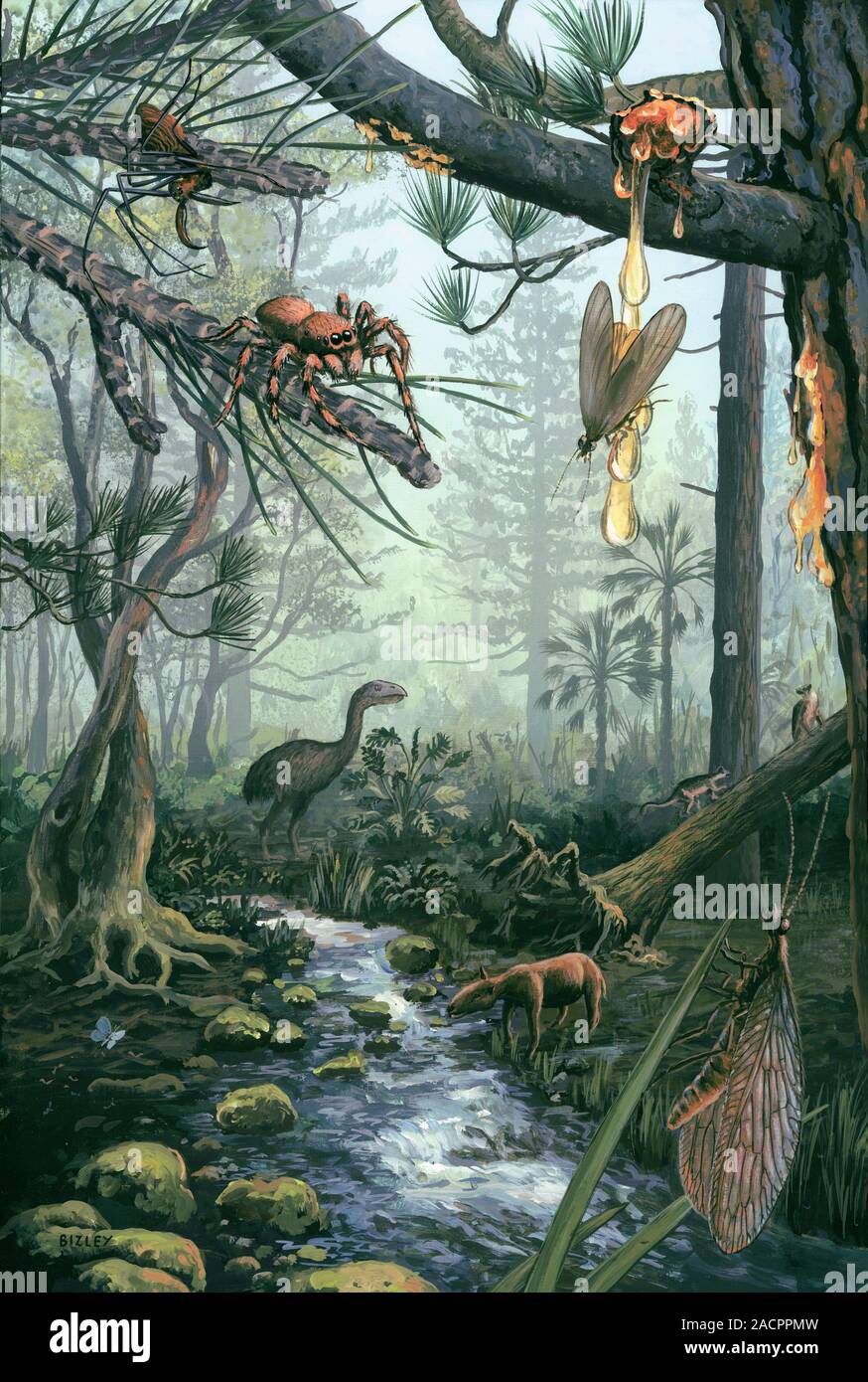 Eocene forest landscape. Artwork of a forest landscape in the Baltic ...